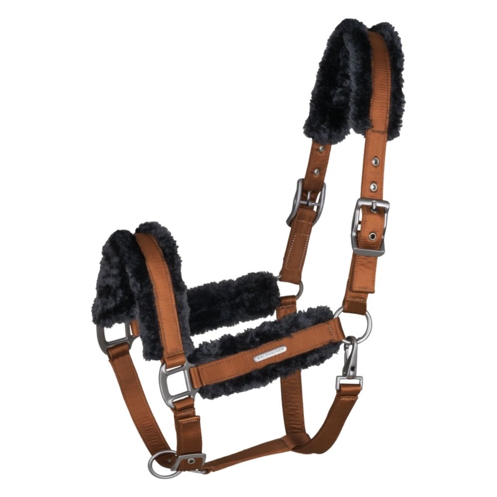 Kantar Waldhausen Paris Cinnamon - Cavallo